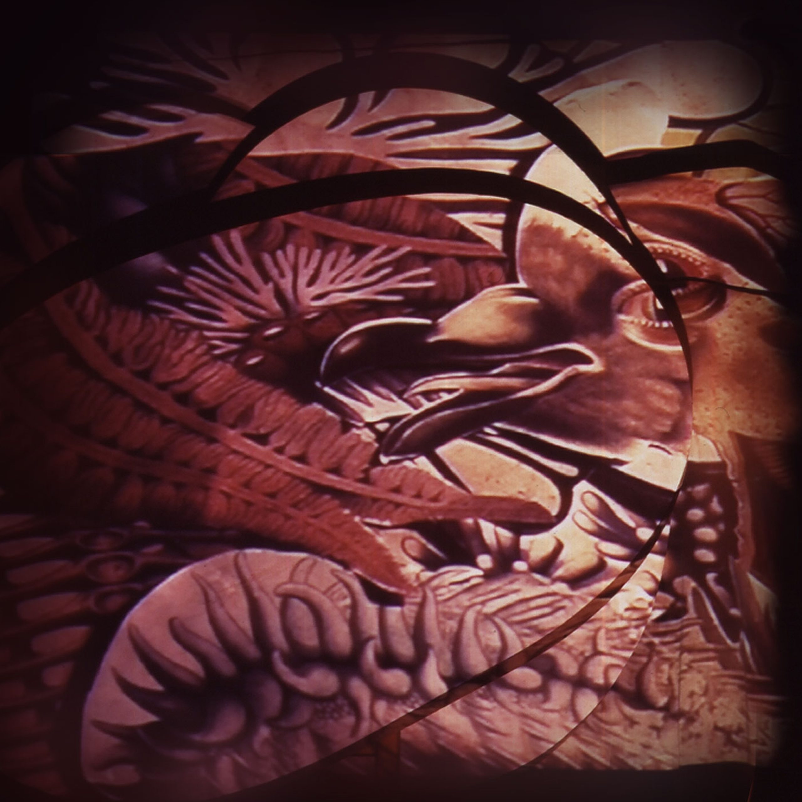 Anguane - La Tempesta Dischi